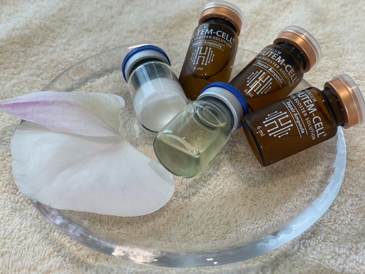 CONCEPT | Lynx Tokyo salon